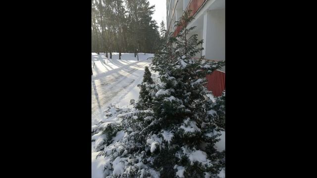 Шампанское