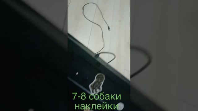 7-8 собаки наклейки на клавиатуру