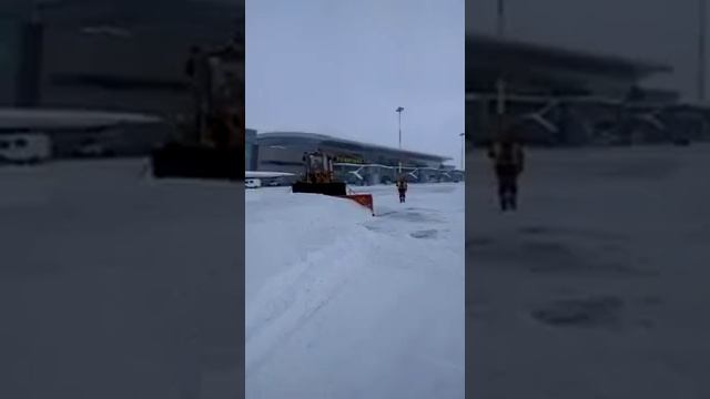ТБО 01 отвал, Бульдозерное оборудование, Толкатель для погрузчика любой марки