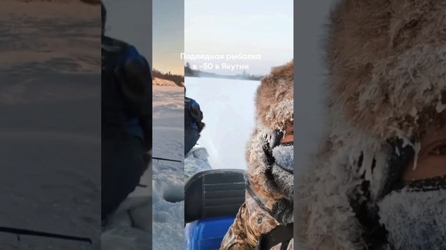 Друзья, возобновляем работу нашего канала.
