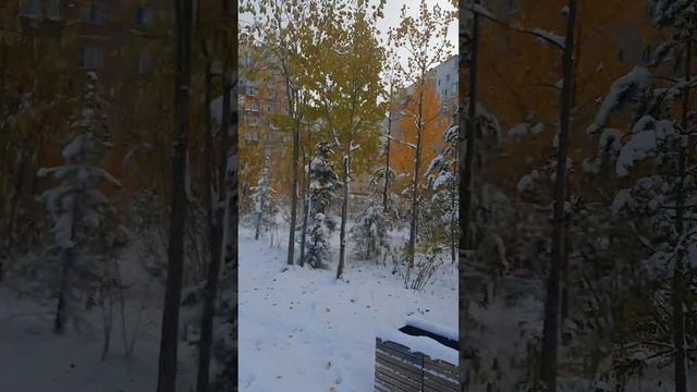 ❄️первый снег внезапно выпал...то ли осень 🍁 задержалась... то ли зима ❄️ поспешила...