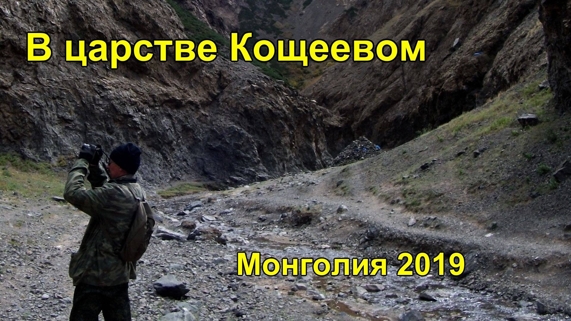 В царстве Кощеевом