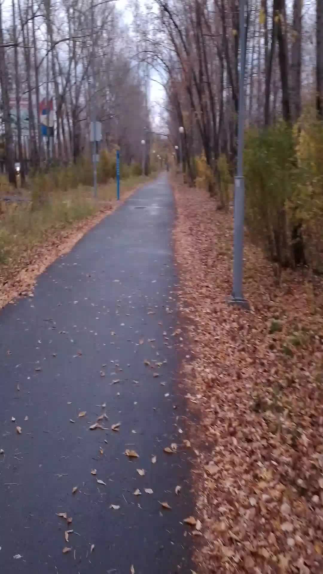 Сказка о семи богатырях