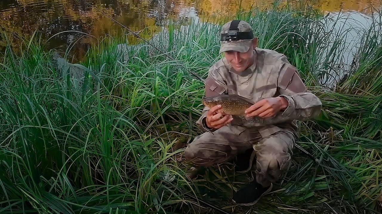 Нерест карася на озере в июне. Клёв почти прекратился