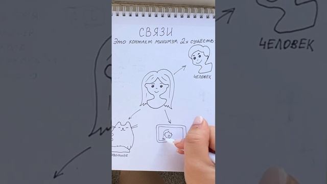 Связи, которые  мы устанавливаем каждый день