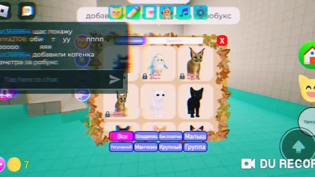 Игра с котятами | Обновление игры скины,украшения,+ уровни закулисья, и скин акулы котика 😺🌟