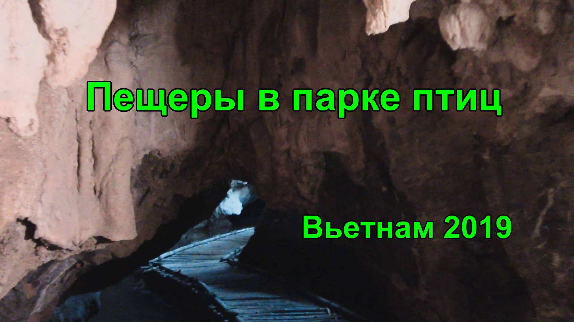 Пещеры в парке птиц