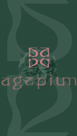 Презентация для привлечения инвестиций — Agapium