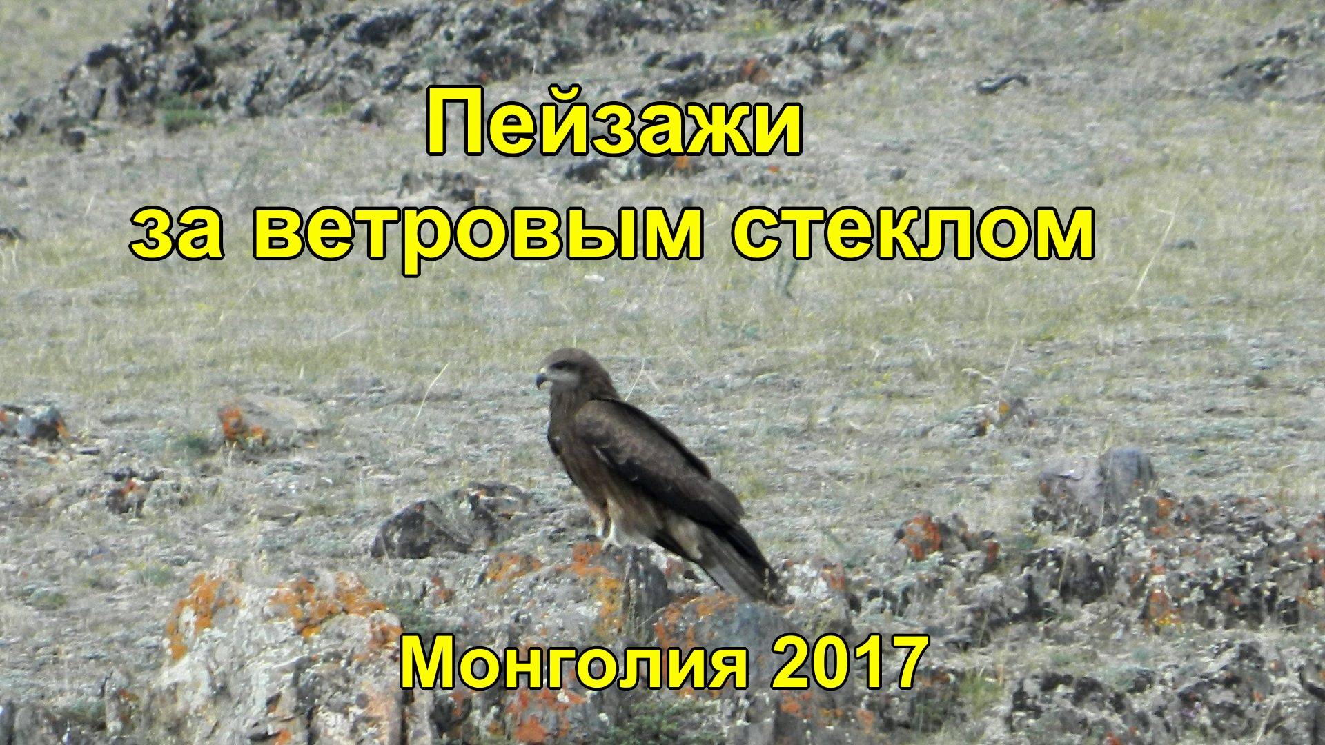 Пейзажи за ветровым стеклом