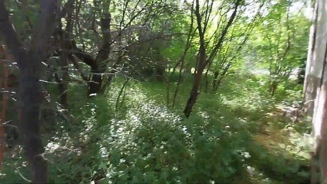 с-ца Шапсугская, ул.Северная.