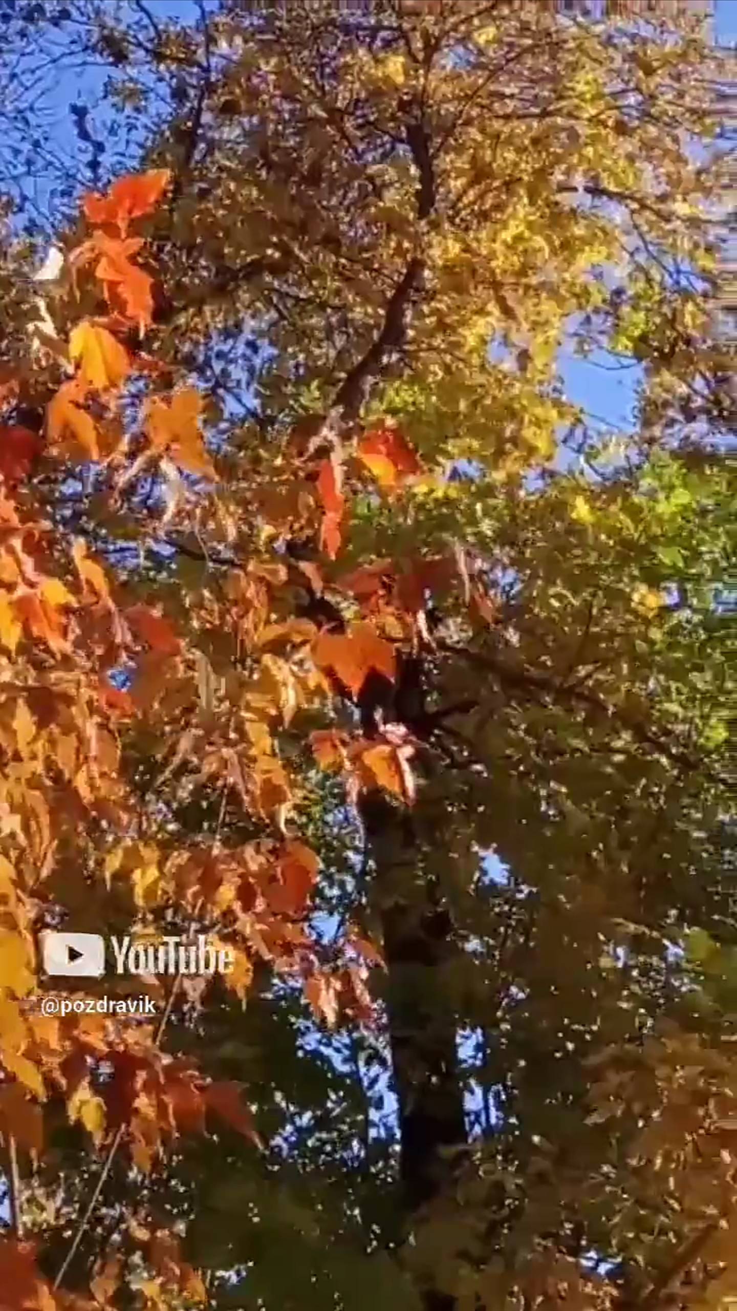 Осенний сон