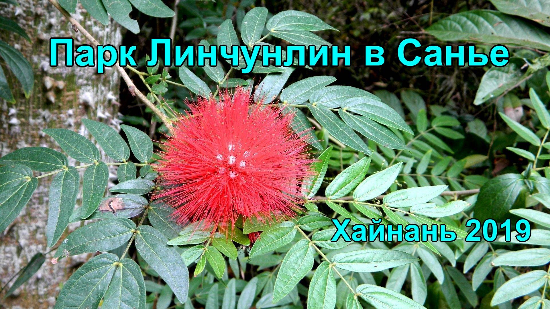 Парк Линчунлин в Санье