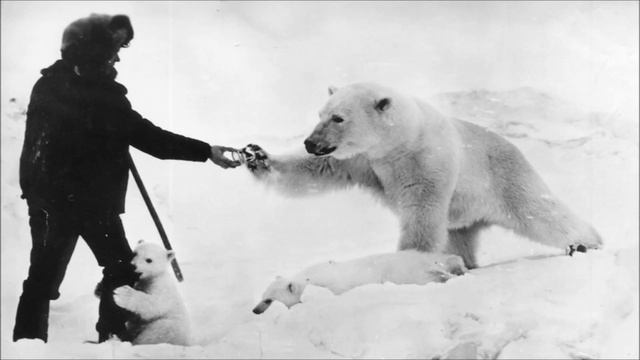 Алексей Иващенко - Не птицы, не рыбы