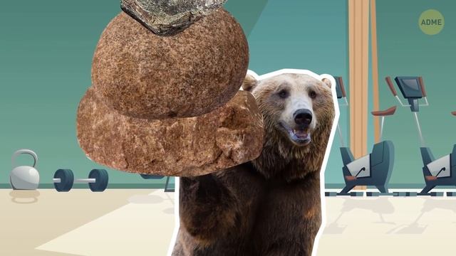 Какое животное может поднять больше всех