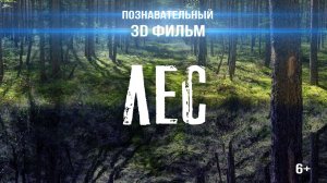 "Лес 3D". Трейлер.