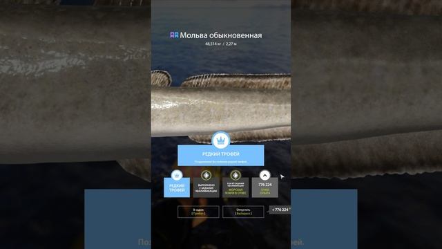 РР4//Мольва Синяя,Мировой Рекорд