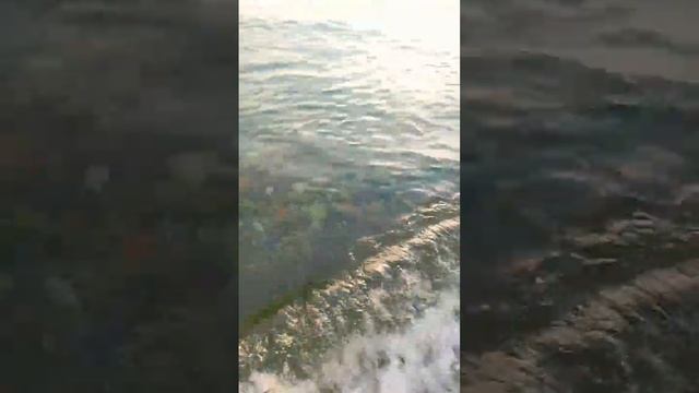 #море