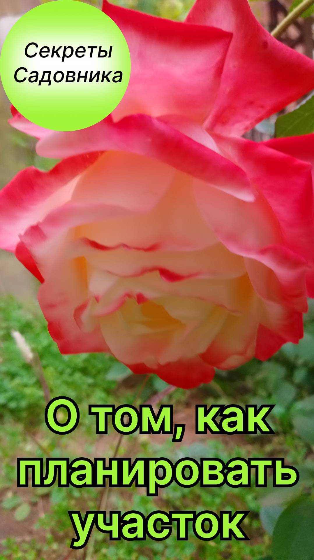 О том как планировать участок