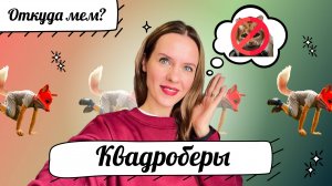Откуда мем: квадроберы