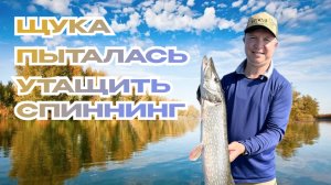 Щука пыталась утащить спиннинг!