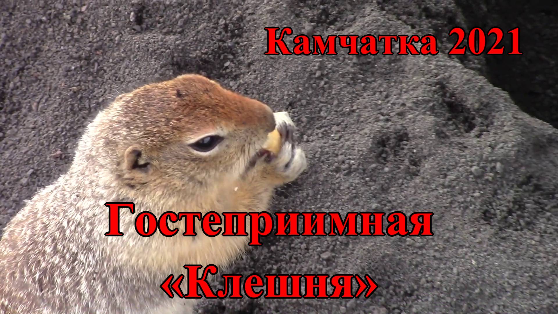 Гостеприимная «Клешня»