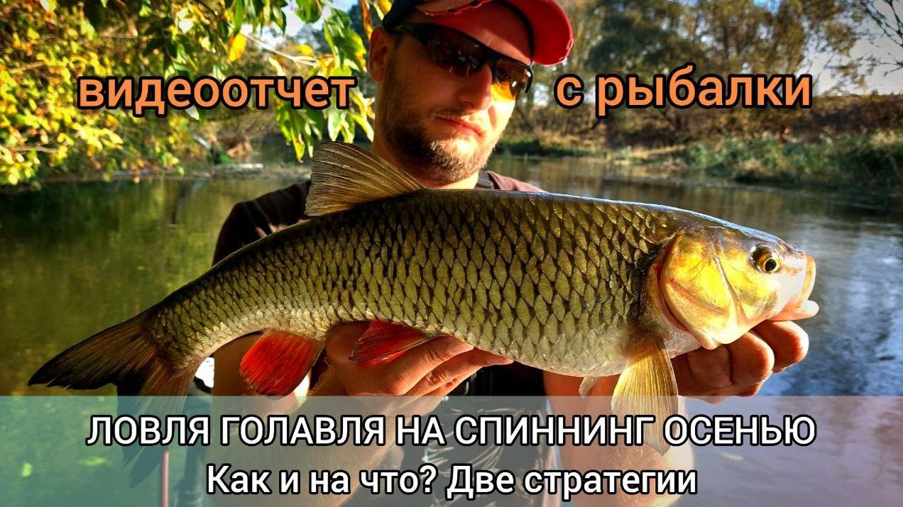 Ловля голавля на спиннинг осенью. Как и на что ? Две стратегии.