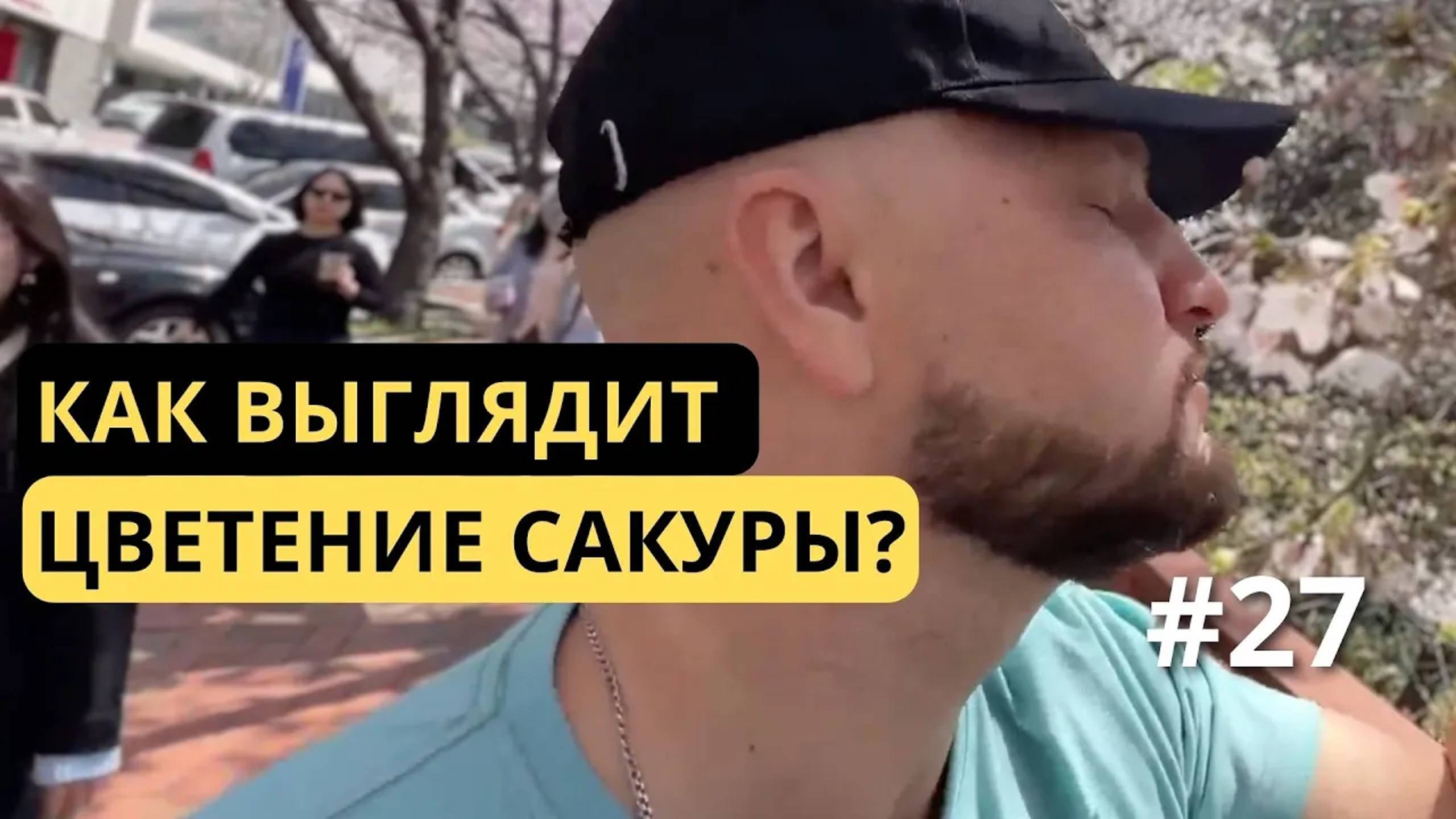 [27] Цветение Сакуры в Пусане