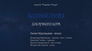 Колыбельная для ручного кота