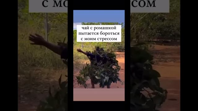 Надо бы еще мятки добавить #shorts #рекомендации #юмор #стрессоустойчивость