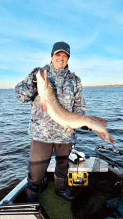 Щука-монстр! #fishing #рыбалка #щука #spike #паноптикс #пелагика #Волга #спиннинг #spinning