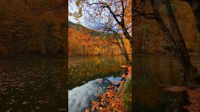 осень