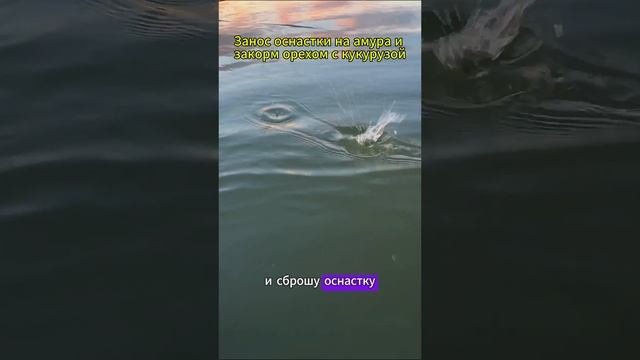 Новое видео уже на канале!
