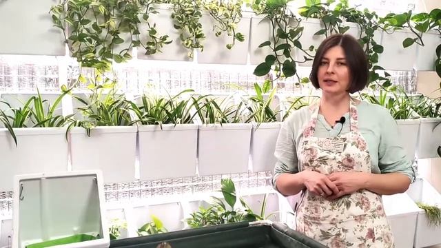 Зелёная мастерская в ГБУ ЦРИ "Царицыно" - 2