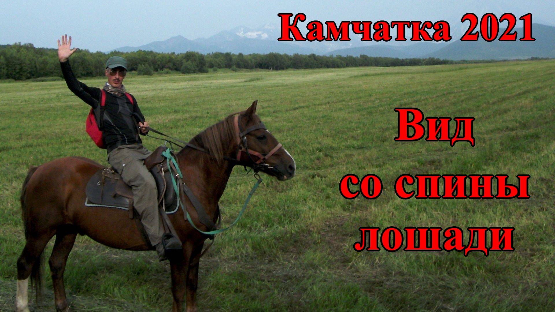 Вид со спины лошади