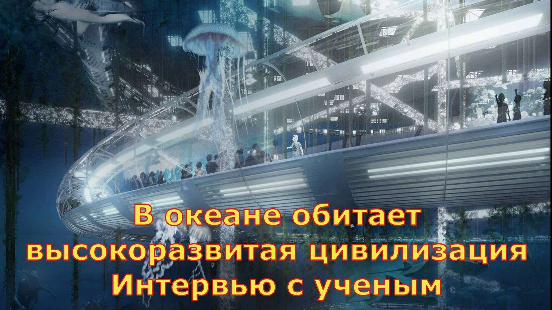 В океане обитает высокоразвитая цивилизация