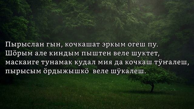 Аудиотекст на марийском языке. Елизар Янгильдин. Маскаиге