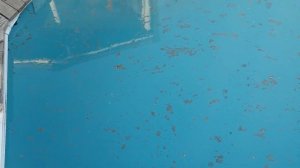 "Зацвел" бассейн. Очищаем без замены воды.