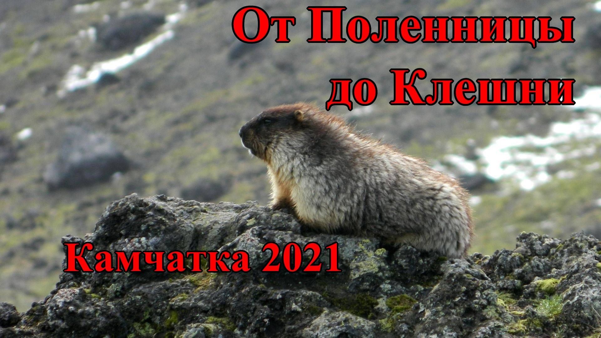 От Поленницы до Клешни