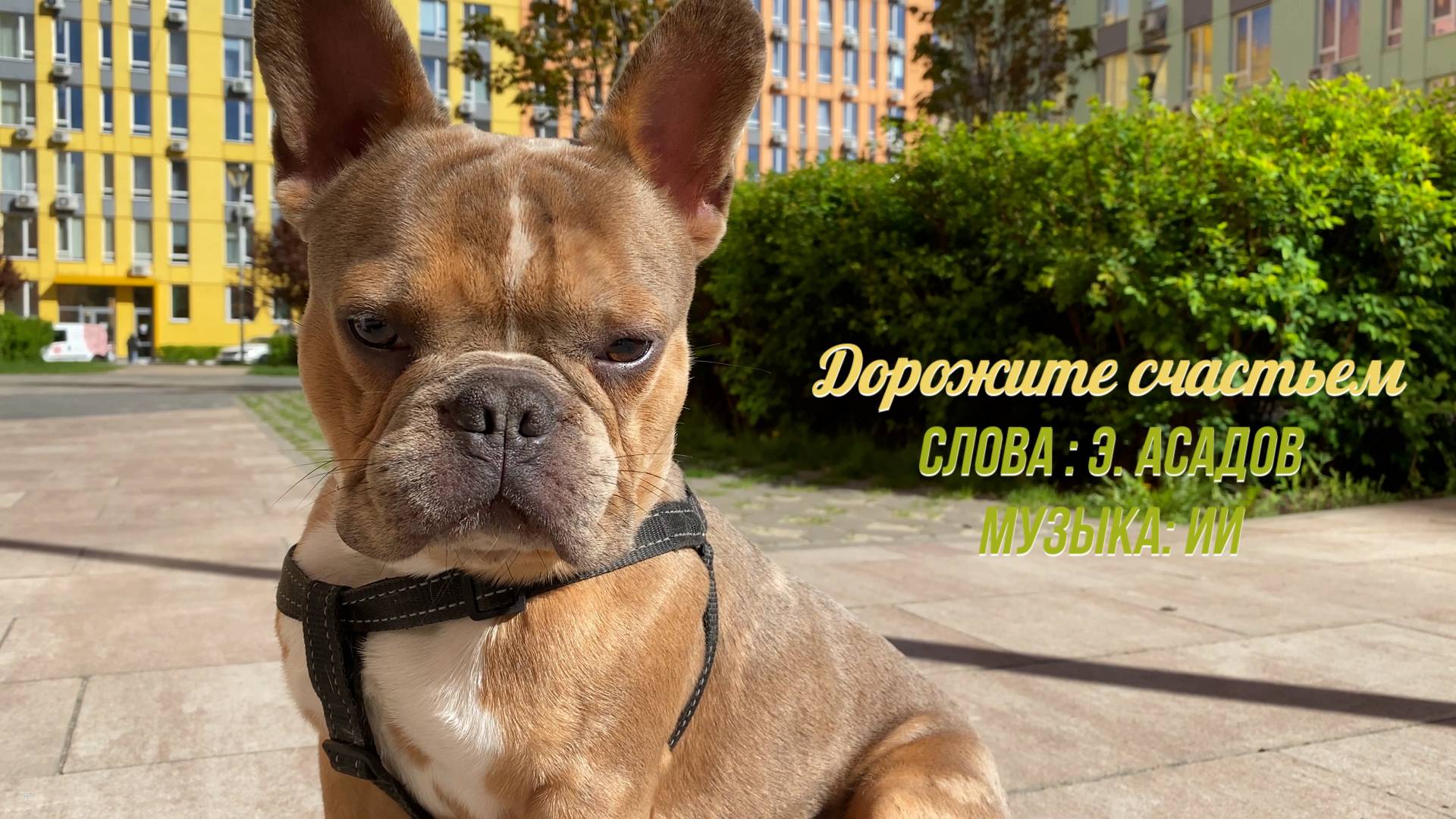 Дорожите счастьем