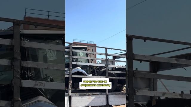 Ап, и тигры у ног моих сели!