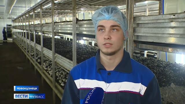 Про нас говорят Вести-Кузбасс