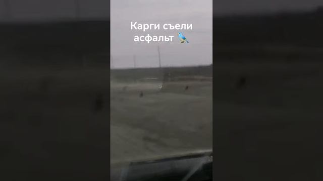 14 марта 2024 г.
