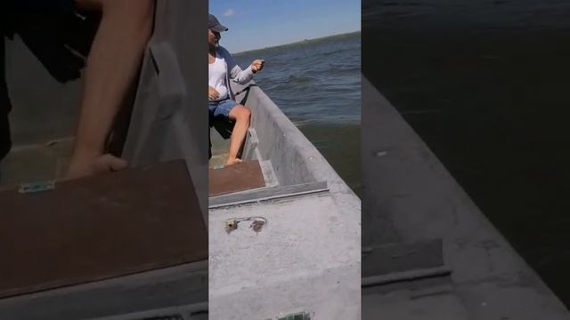 рыбалка в Астрахани. Судак. #активныйотдых #рыбалка #fishing #лето