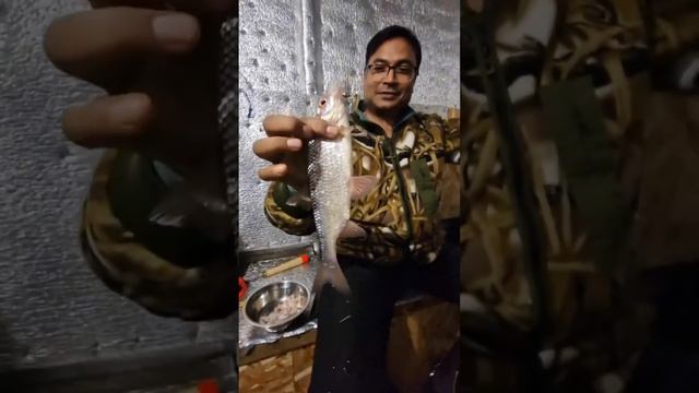 НЕЗАБЫВАЕМЫЕ МОМЕНТЫ ОДНОЙ РЫБАЛКИ