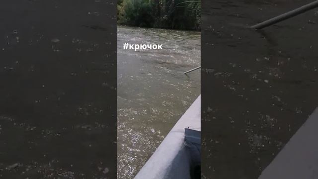 Удочка в дугу, ловим на боилы. Крючок в пальце. Судак на "колхозницу" .