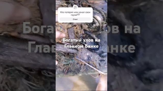 Неплохой трофей с Бахтемира)))