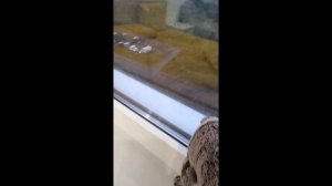Когда закончится мороз