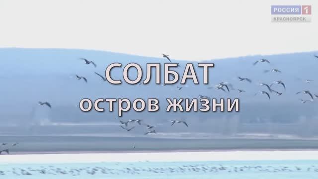 Солбат. Остров жизни