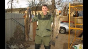 Старенькая видео подборка с нырялок по ильменям.
