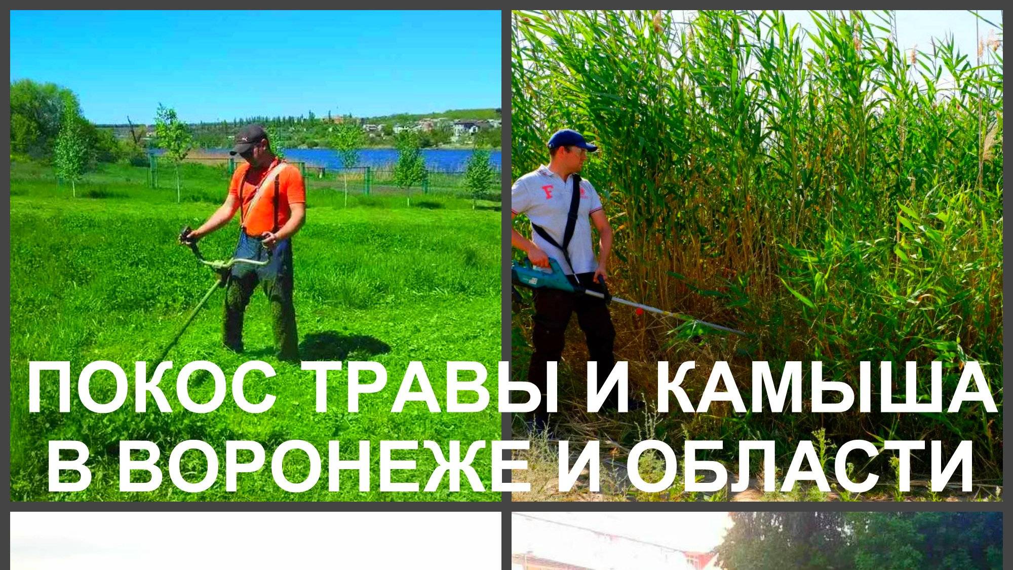 Покос травы Воронеж, косить траву в Воронеже